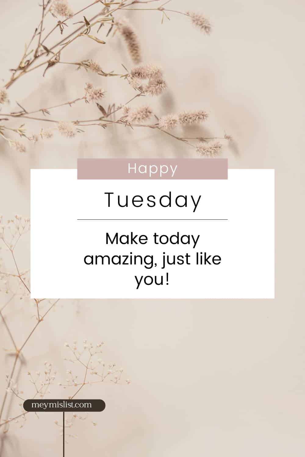 70+ Good Morning Tuesday Motivation Quotes | MeymisList