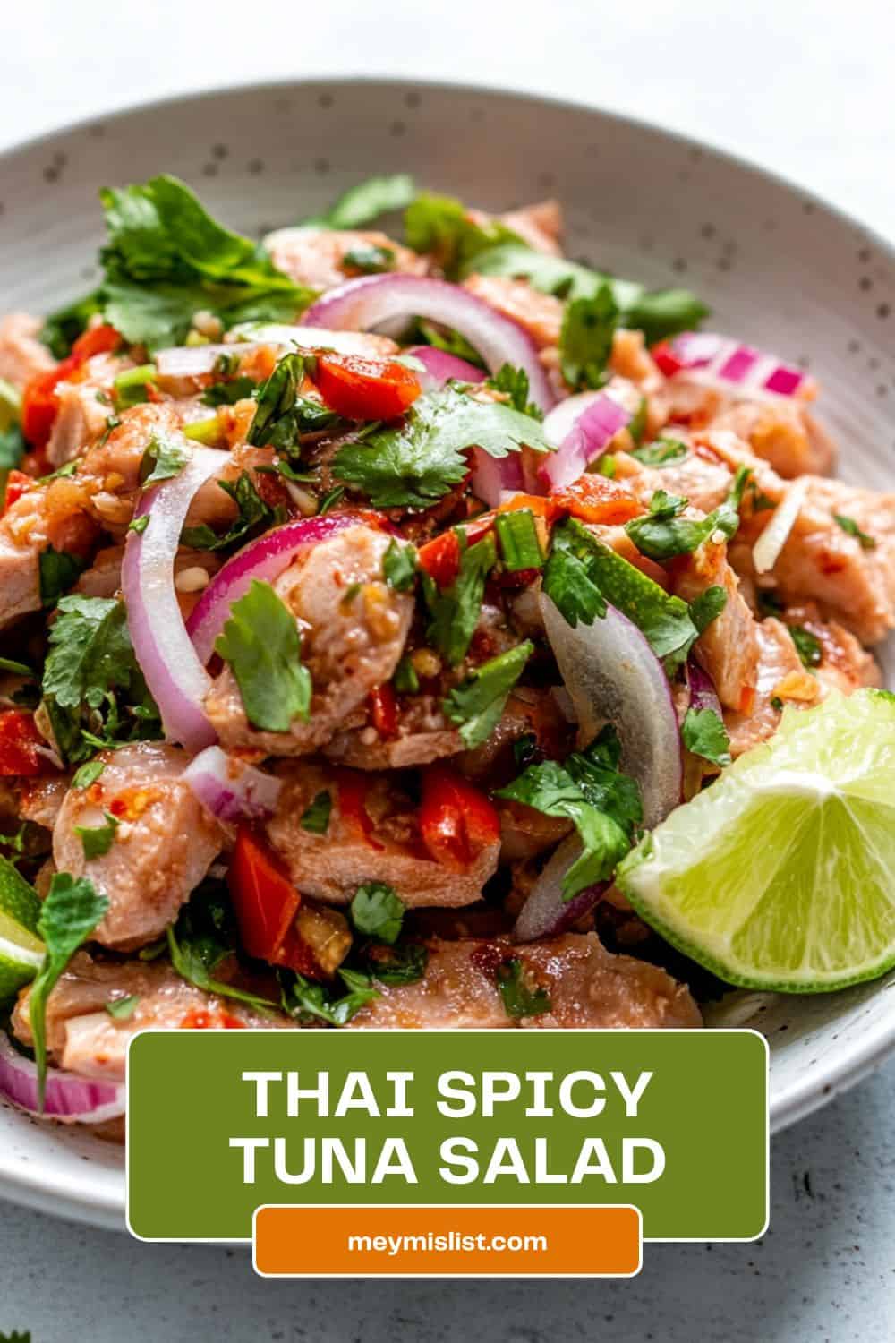 10+ Easy and Delicious Canned Tuna Recipes for Every Meal | MeymisList