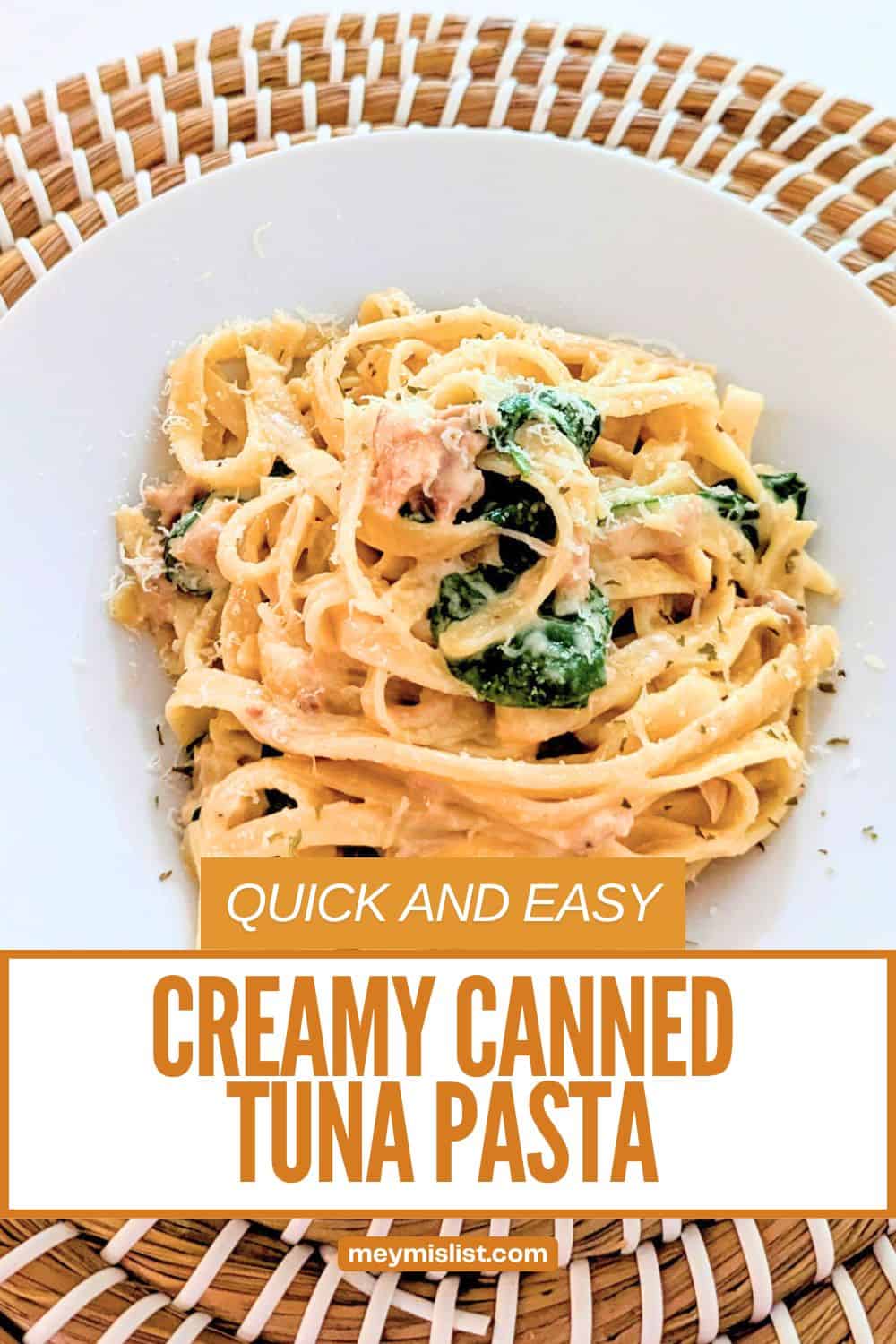 10+ Easy and Delicious Canned Tuna Recipes for Every Meal | MeymisList